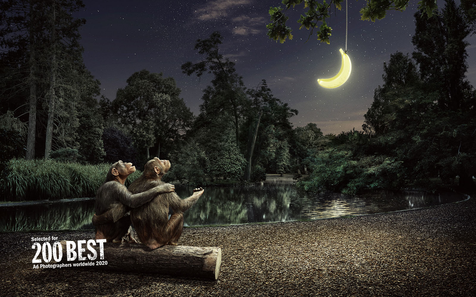 About Us | STAUDINGER+FRANKE – Photography, Post Production & CGI