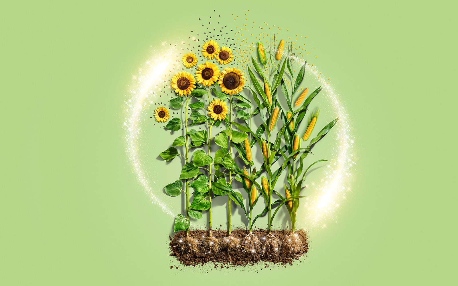 STAUDINGER+FRANKE – Photography, Post Production & CGI